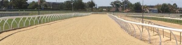 All Weather Racing Surfaces: Polytrack, Fibresand & Tapeta Explained