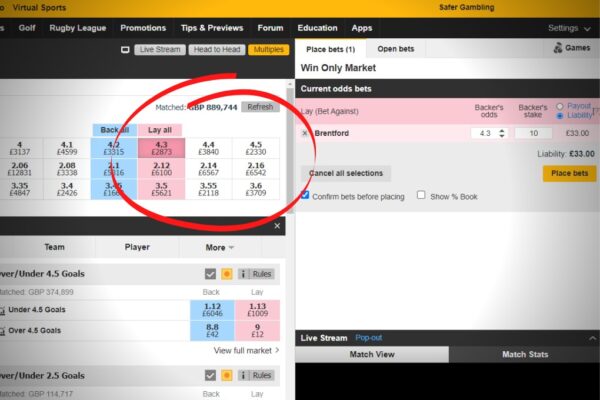 How Does Lay Betting Work? A Full Guide for Beginners