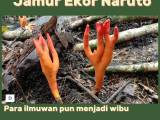 Ternyata Ilmuwan Wibu Gaes Lahelu