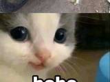 Hehe Lahelu