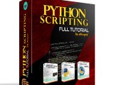 Abaqus Python Scripting Full Guide