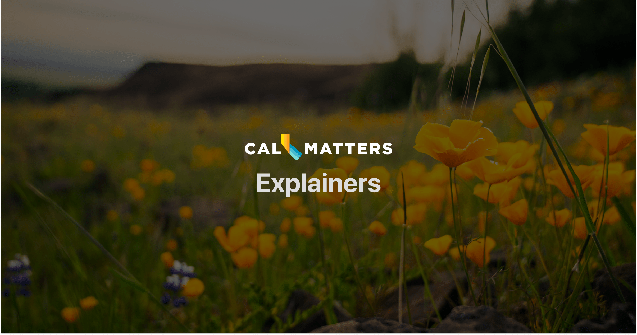 Explainers - CalMatters