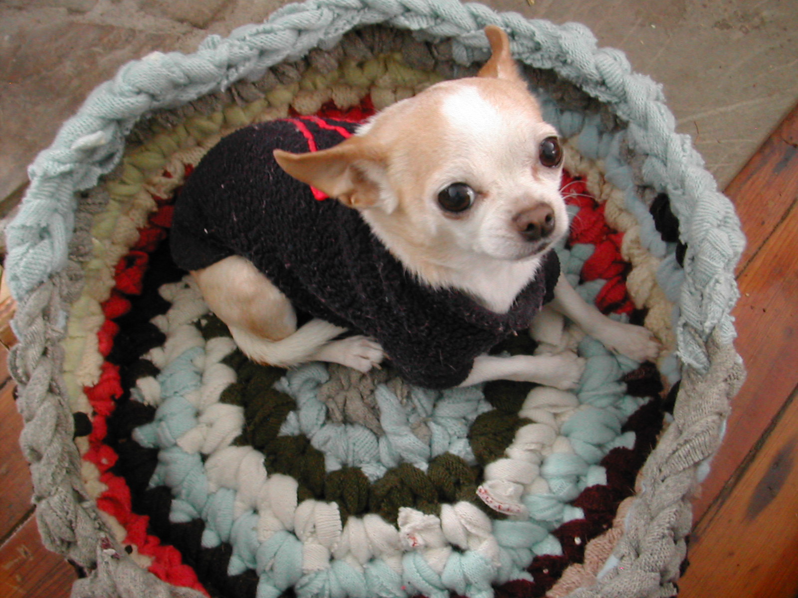 tutorials – Cal Patch