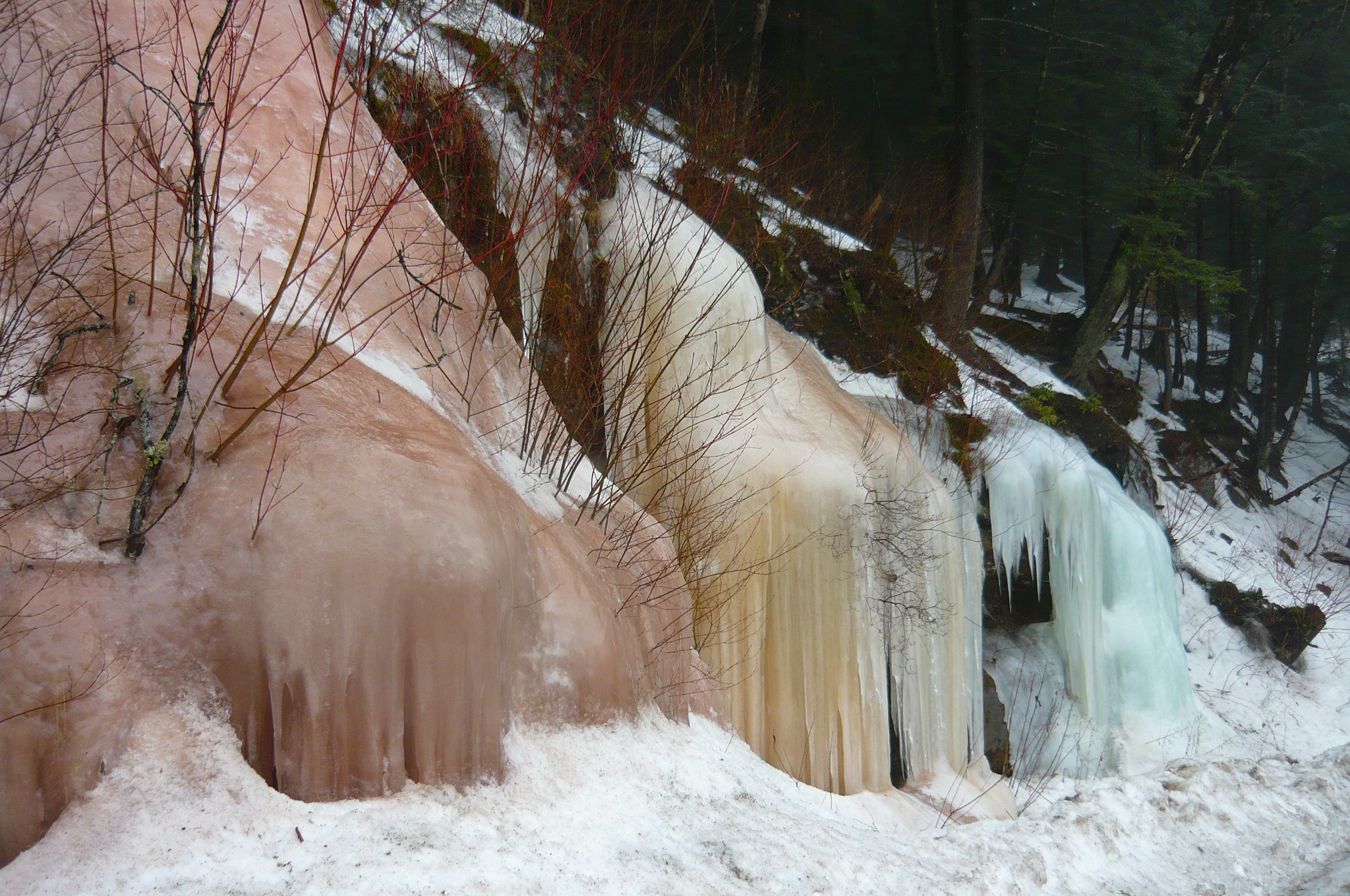 2011 in pictures: february/march – Cal Patch