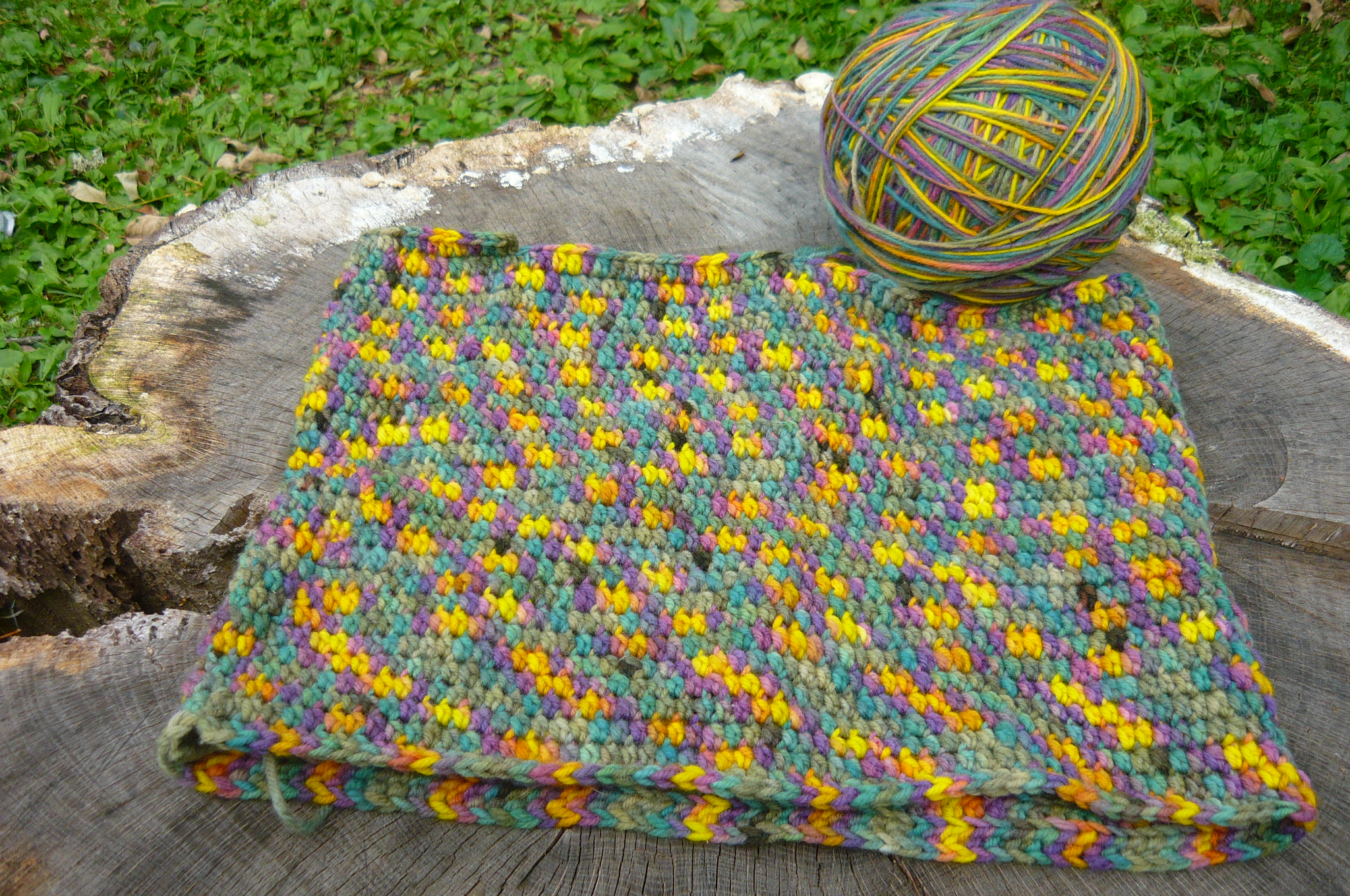 2011 in pictures: september – Cal Patch