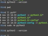 Instalar Python En Linux Ubuntu O Derivados