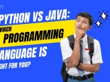 Python Vs Java Python Vs Java Which Programming Language Is Right