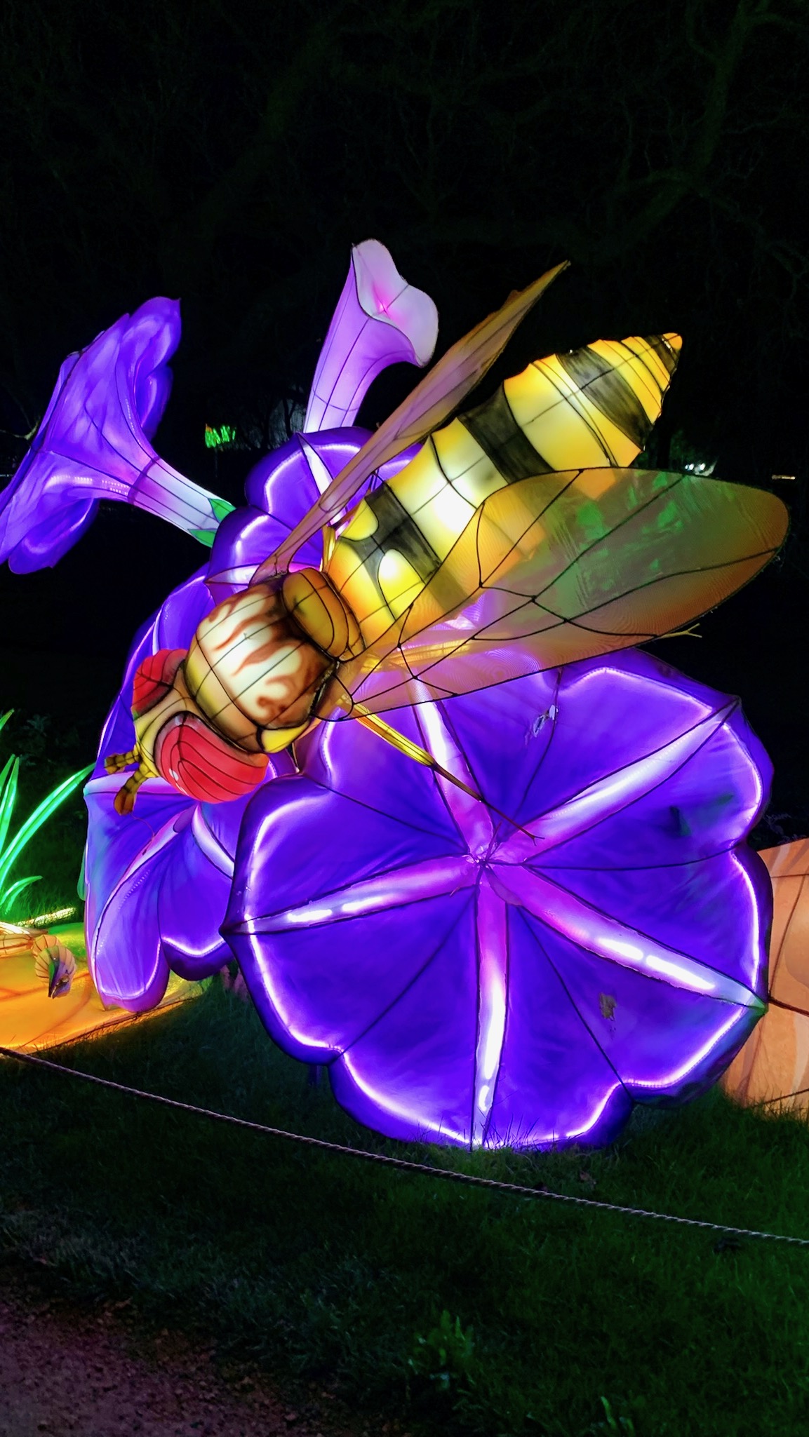 Paris for 20 hours! - Camping and Trekking