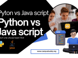 Python Vs Javascript Which One Should You Learn First Campusbuddy
