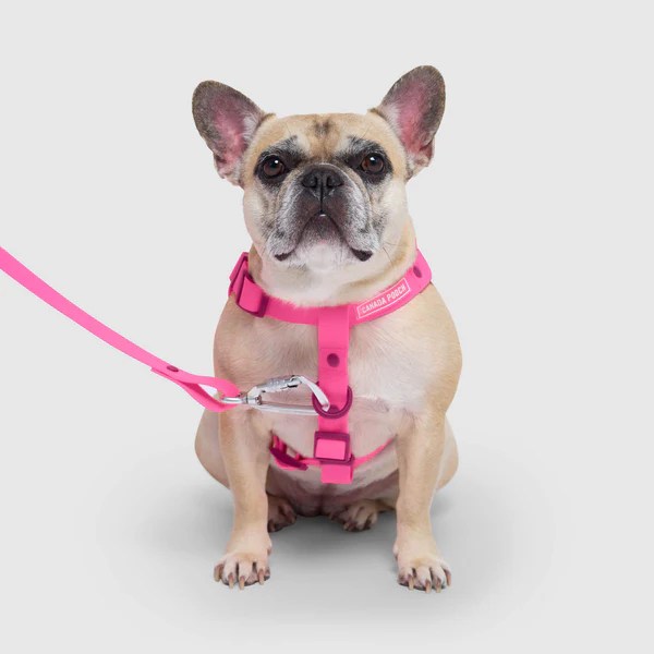 Waterproof Dog Harness Canada Pooch