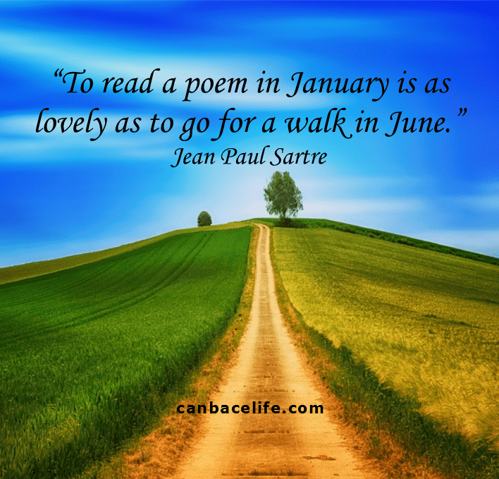 Reflections about January 2019 - Canbace