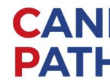 Campaign Platform Candidate Pathways