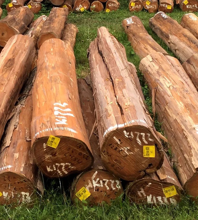 Candra Jati - Spesialis Furniture Kayu Jati | 0812-1509-0879