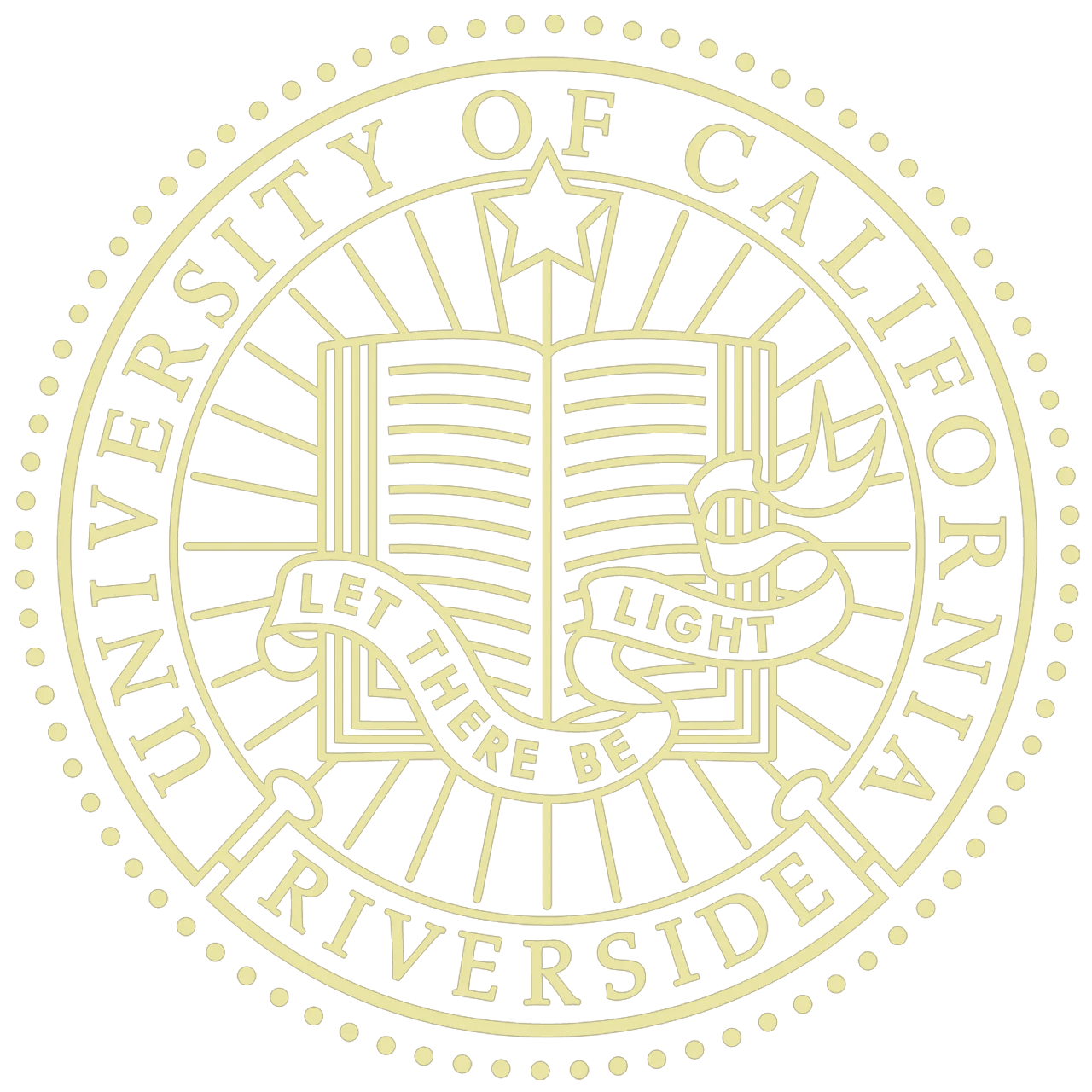 Uc Riverside Cherry Wood Diploma Frame Capgown