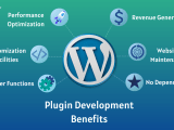 Plugin Development In Wordpress Overview