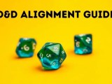 D D Alignment Guide With Examples