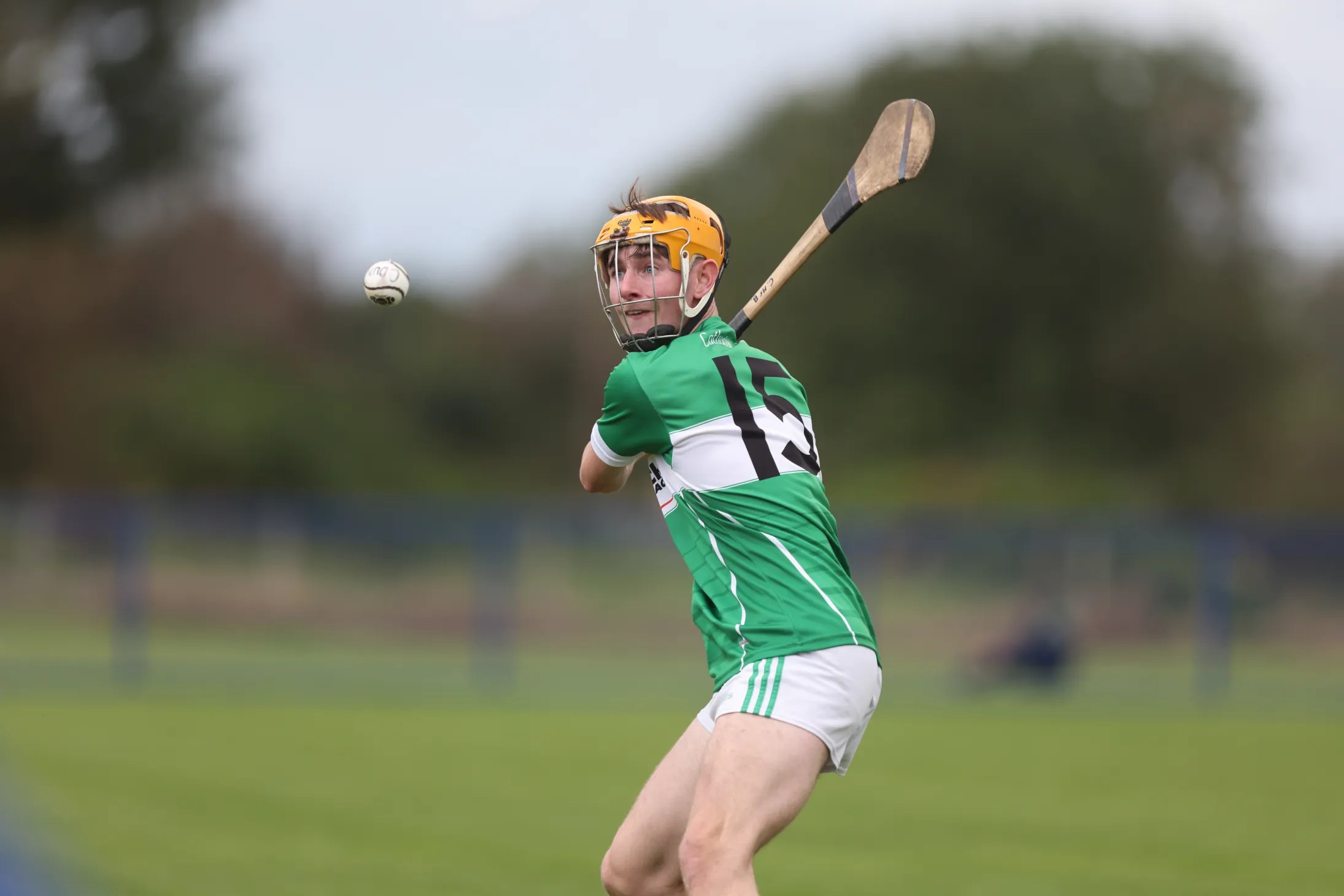 Home - Carey Faughs GAC