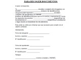 Ejemplo De Carta Poder Simple En Word Modelo 2023 Images And