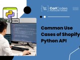 Shopify S Python Api Integration The Complete Guide