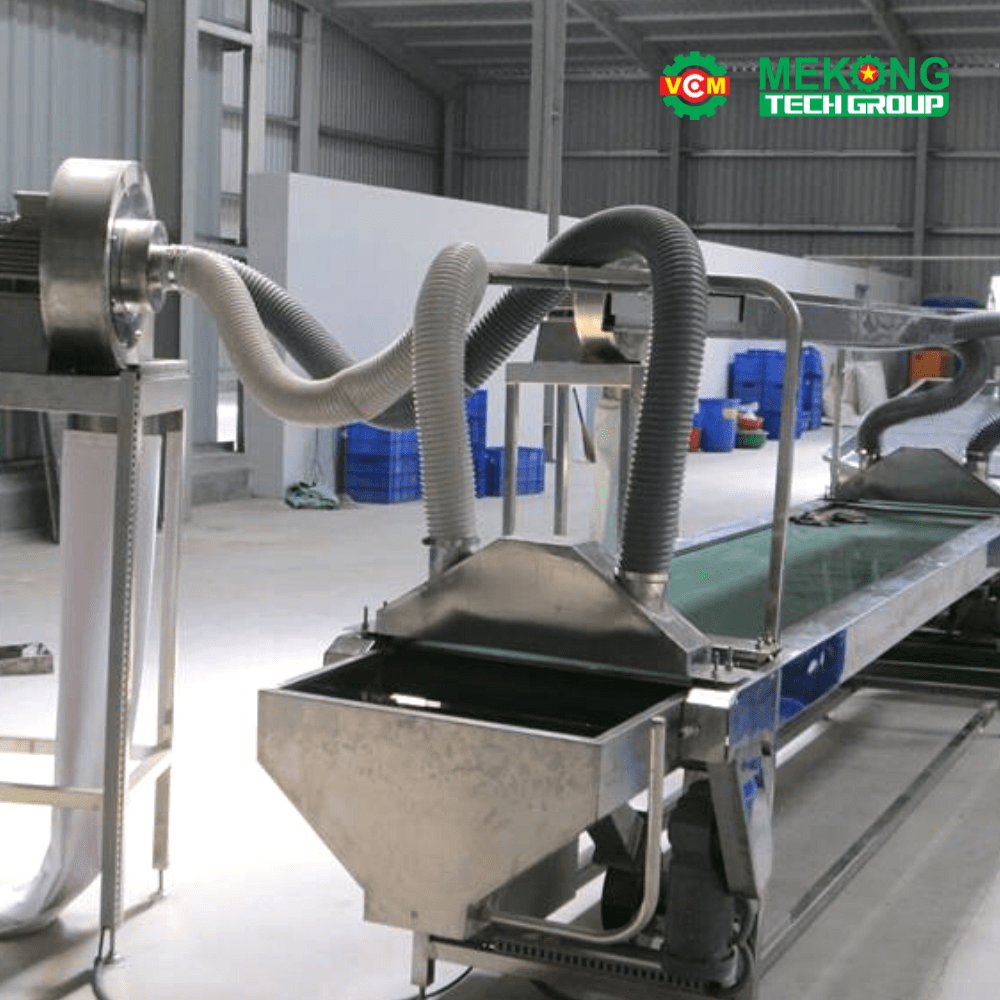 Automatic Cashew kernel packing machine - Automatic cashew processing ...