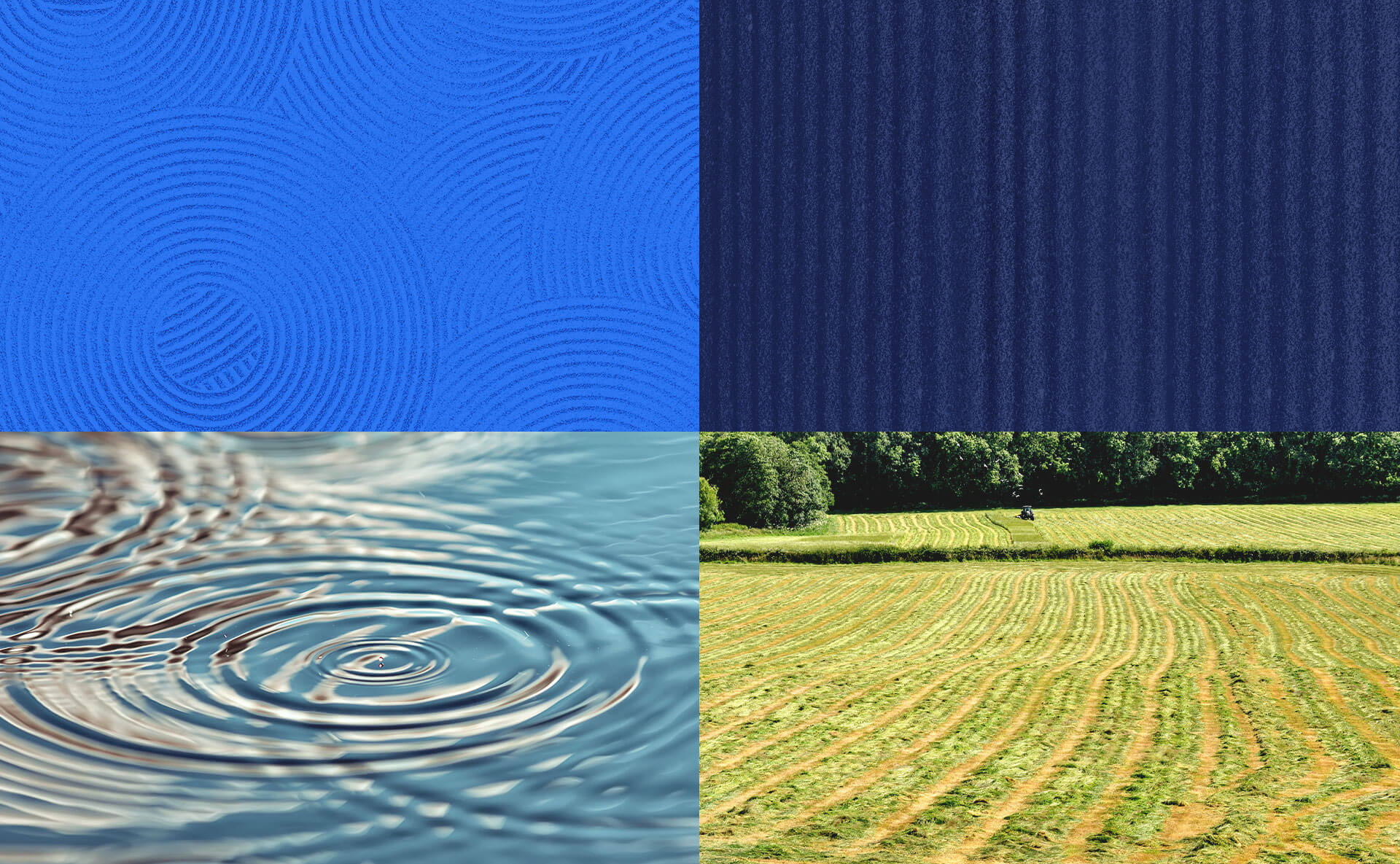 JCSUD – Casey Morgan