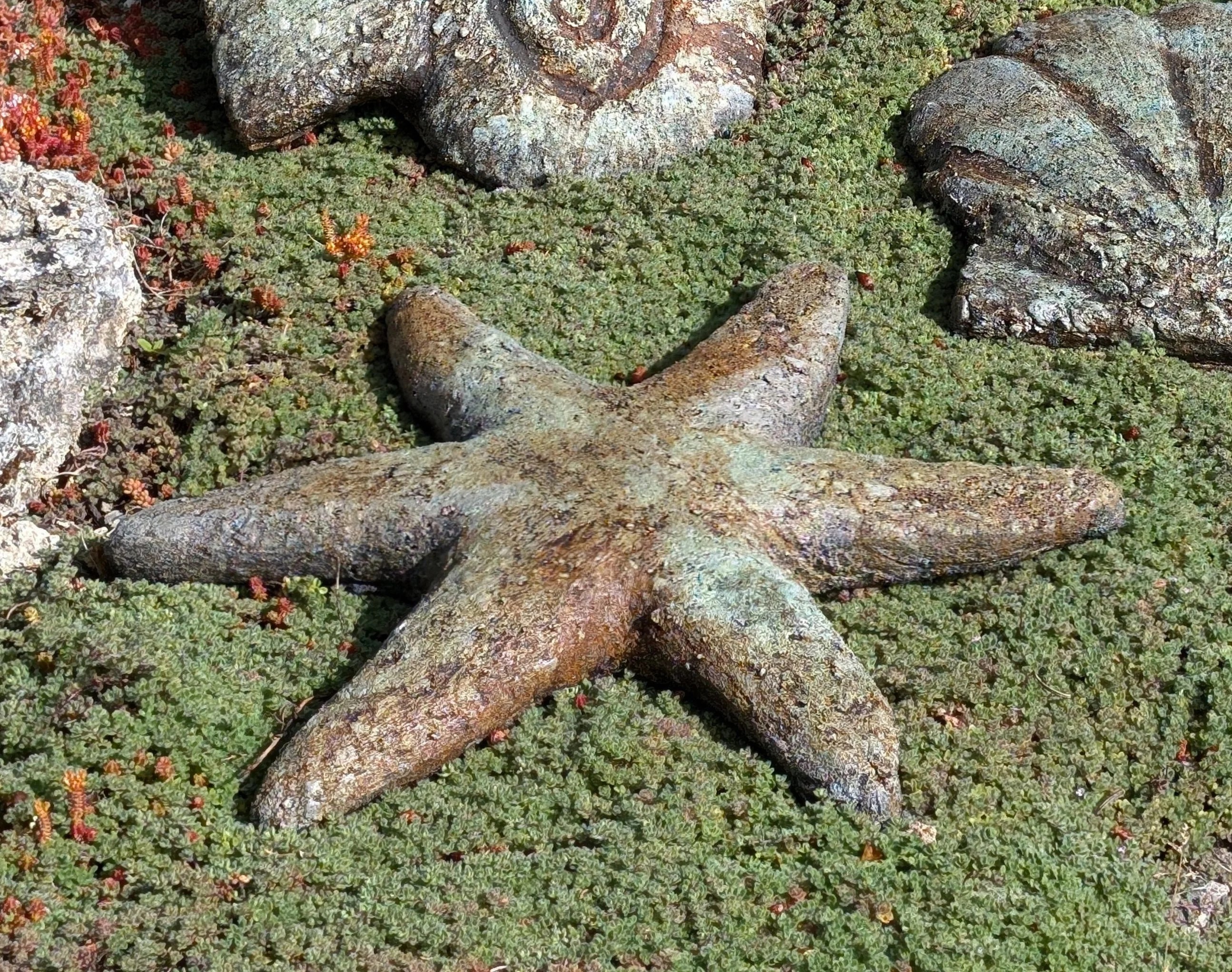 Starfish Castart Studios