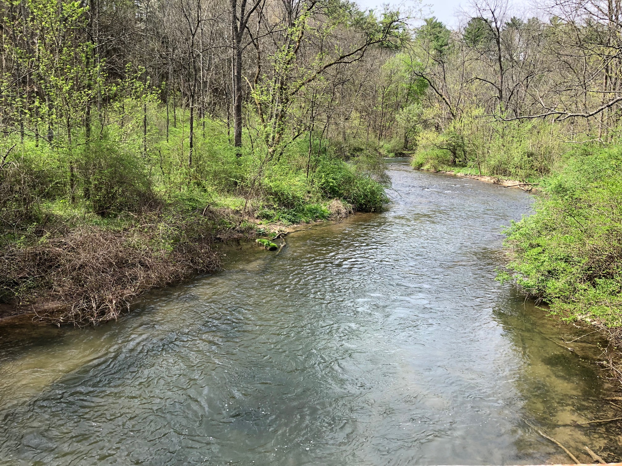 Spring Creeks: Words Aren't Enough - Casting Across