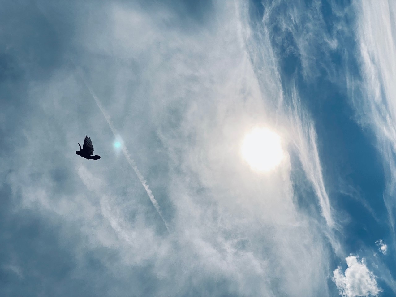 Fly Fishing & Fouling Fowl - Casting Across