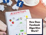 How Does Facebook Algorithm Work Automate Your Content Creation