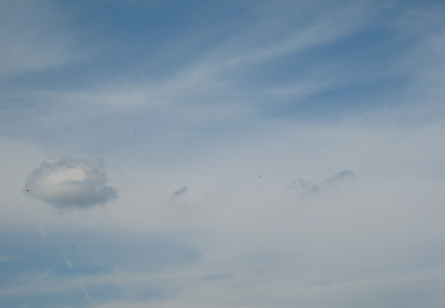 Puff the magic cloud | A picture a day...