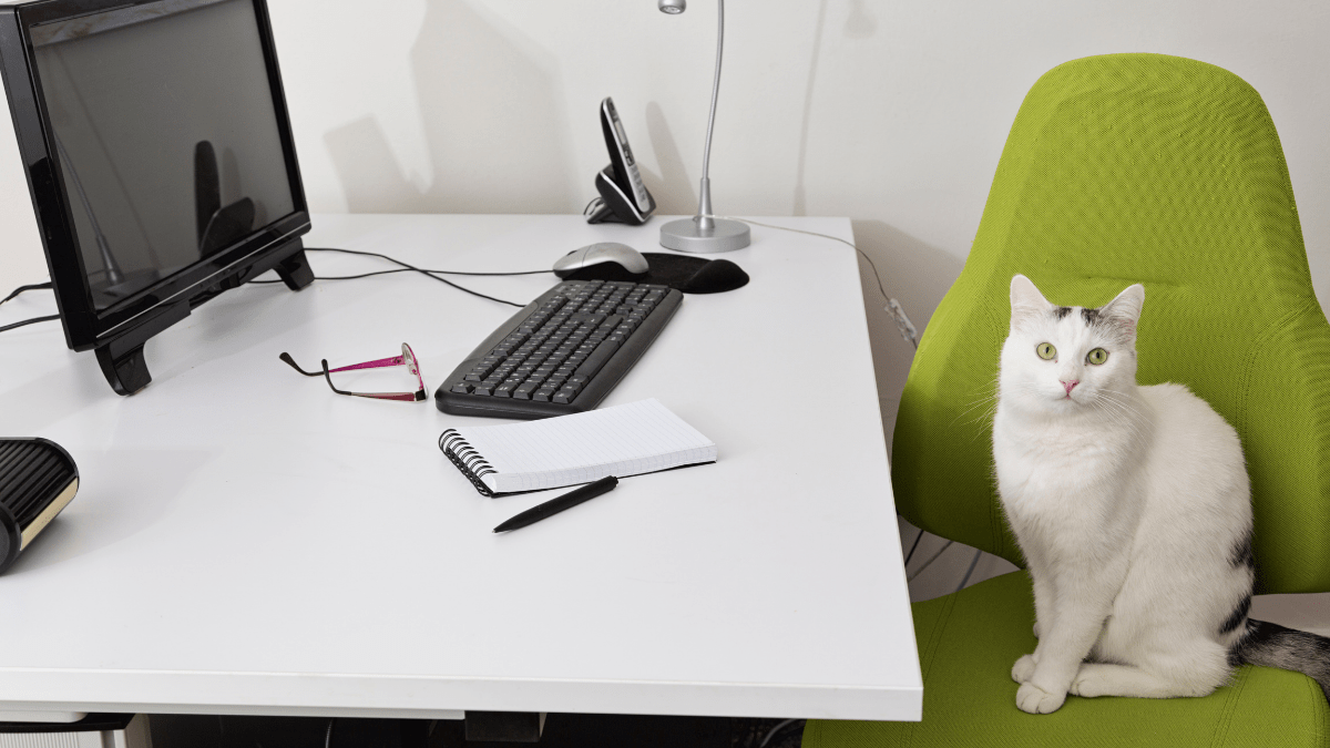 5-Point Checklist for New Pet Parents with Small Business ...
