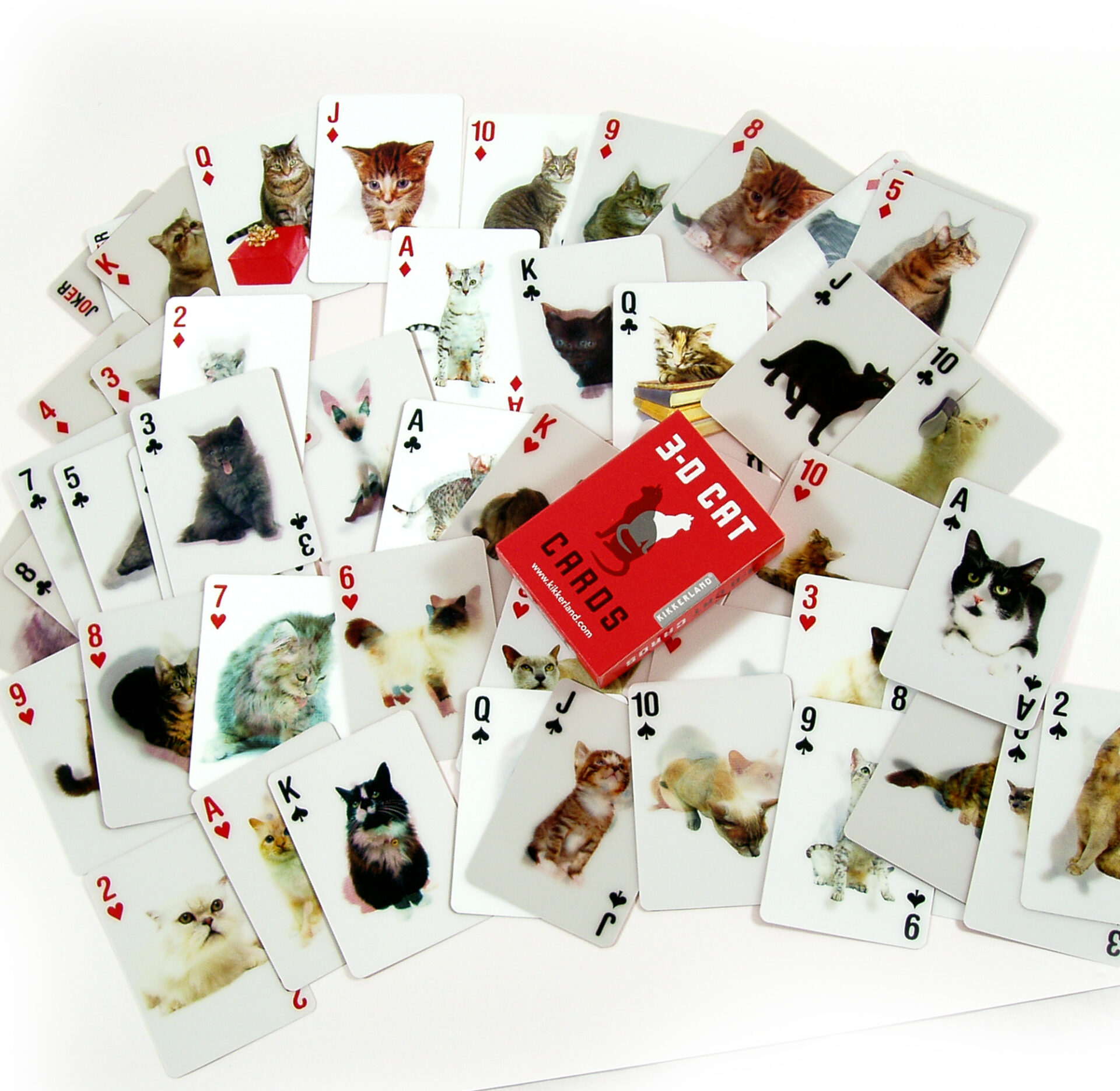 3D Cat Playing Cards - Cats of Cape Town