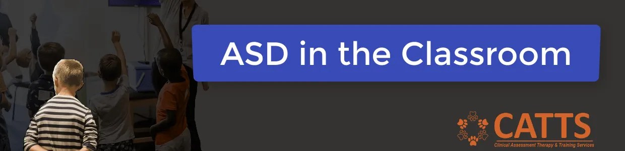Supporting someone with ASD in the classroom - CATTS Courses