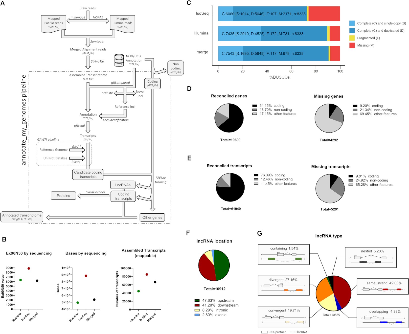 Annotate My Genomes A Simple Pipeline For Improved Genome Annotation