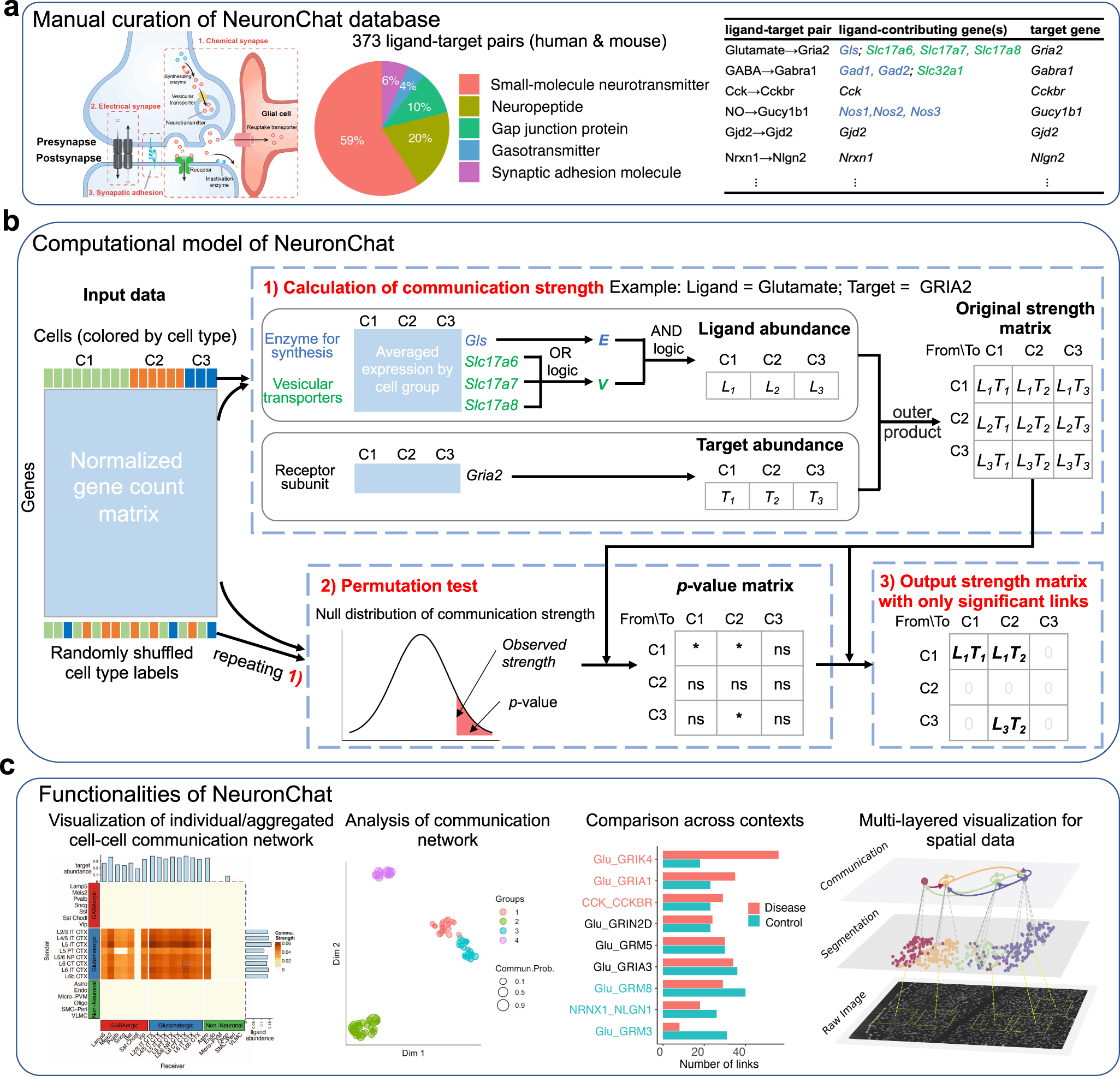 NeuronChat Sheds Light on Neuron-Neuron Communication in the Brain ...