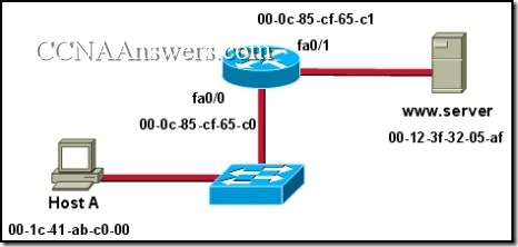 Cisco CCNA 1 Chapter 7 Exam Answers | Cisco CCNA Answer