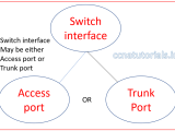 Vlan Basic Concepts Explained For Ccna Exam Ccna Tutorials