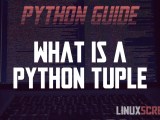 What Is A Tuple In The Python Programming Language