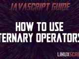 How To Use The Ternary Operator In Javascript With Examples