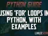 How To Use For Loops In Python With Examples