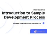 Button Sample Development Process