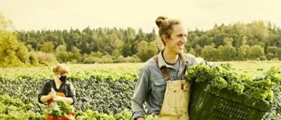 Microsoft Sustainability Manager Microsoft
