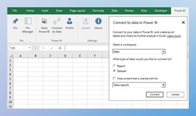 Data Visualization With Excel And Power Bi Microsoft Power Bi