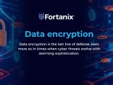 Data Encryption Solutions Fortanix