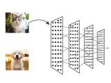 Building Image Classification Model