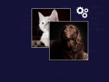 Feature Extraction Using Python Image Feature Extraction