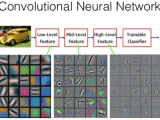 Dog And Cat Classification Using Cnn At William Lawrence Blog