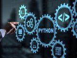 Python Tuple Methods