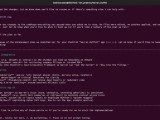 How To Install And Use Openai Codex Cli Locally