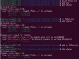 Git Tutorial For Beginners